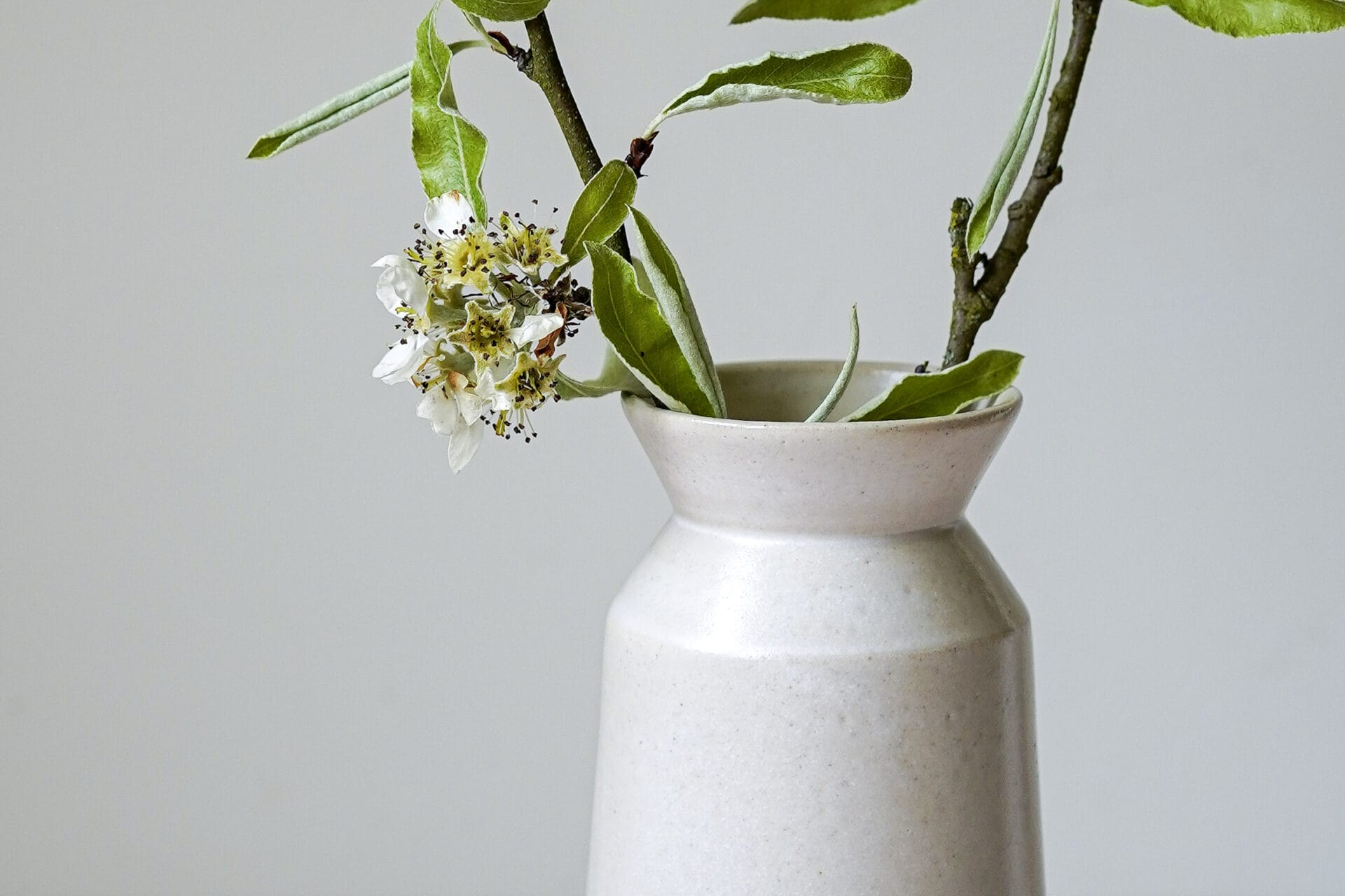 Petra Wright Ceramics - Anglian Potters